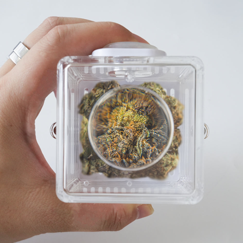 Maywyasky Cone Filling Machine – Maywaysky Cone Filling Machine